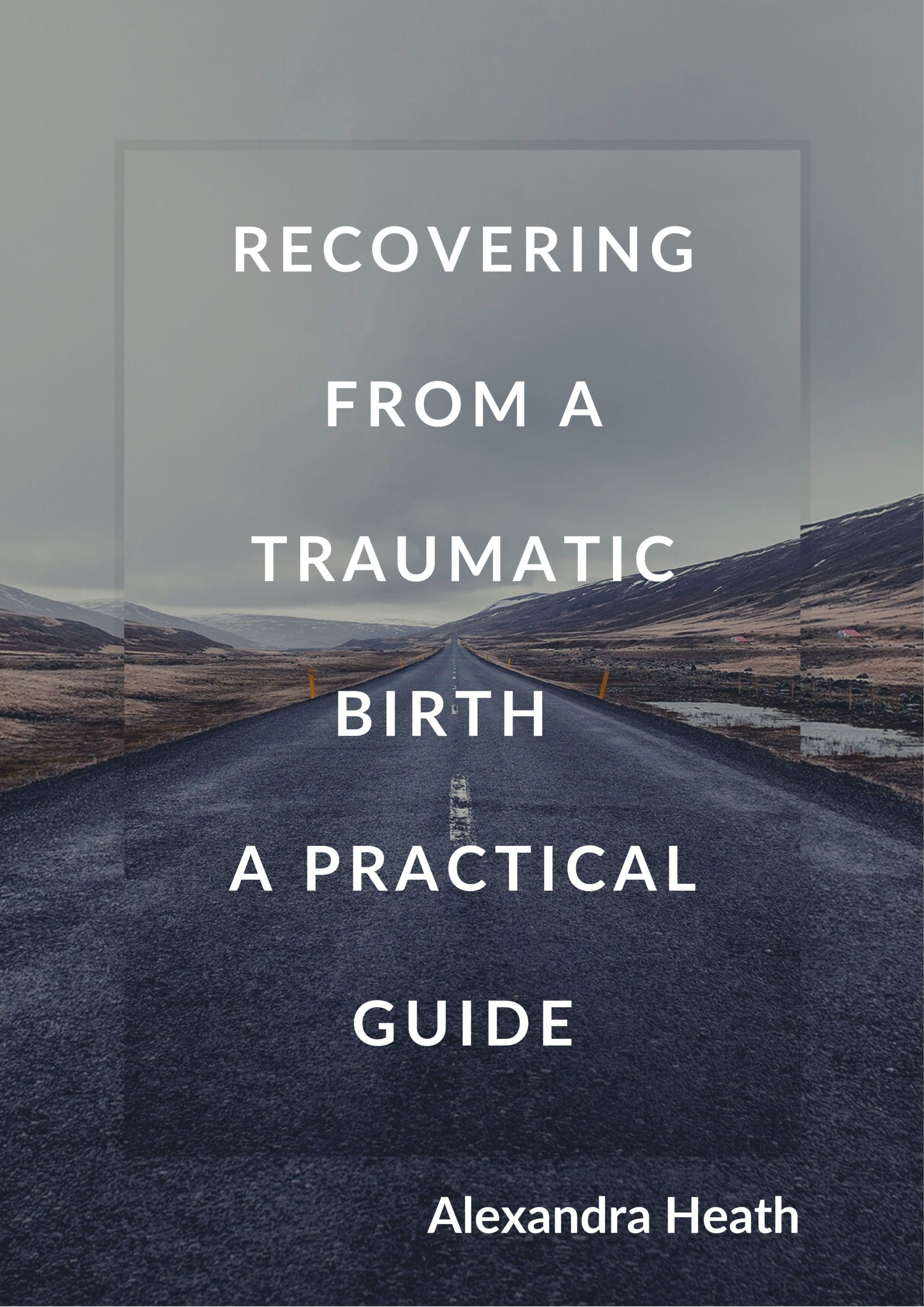 Buy the Book - Traumatic Birth Recovery
